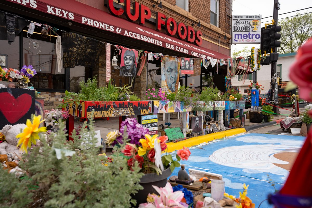 Tonya Allen - McKnight Foundation